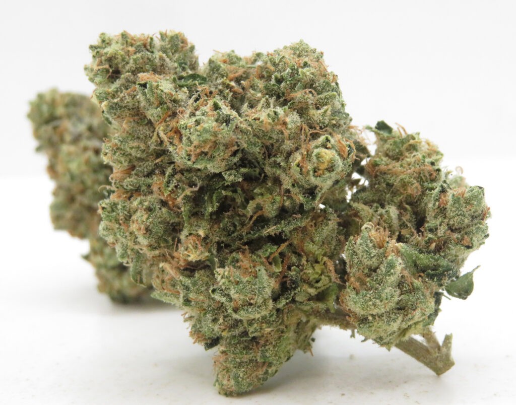 Indica Archives - Top Cola Delivery