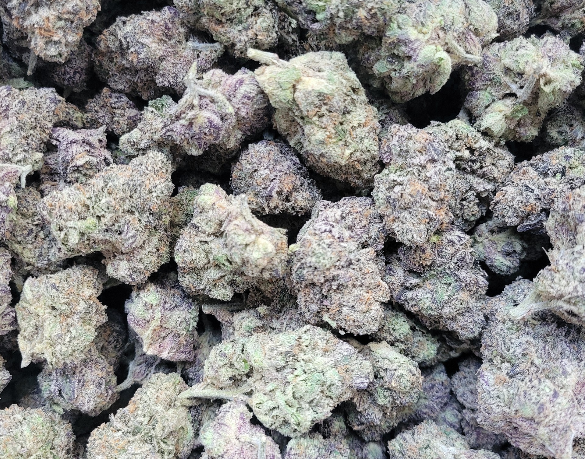 Lemon Cherry Runtz (Fresh n' Sticky) - Top Cola Delivery