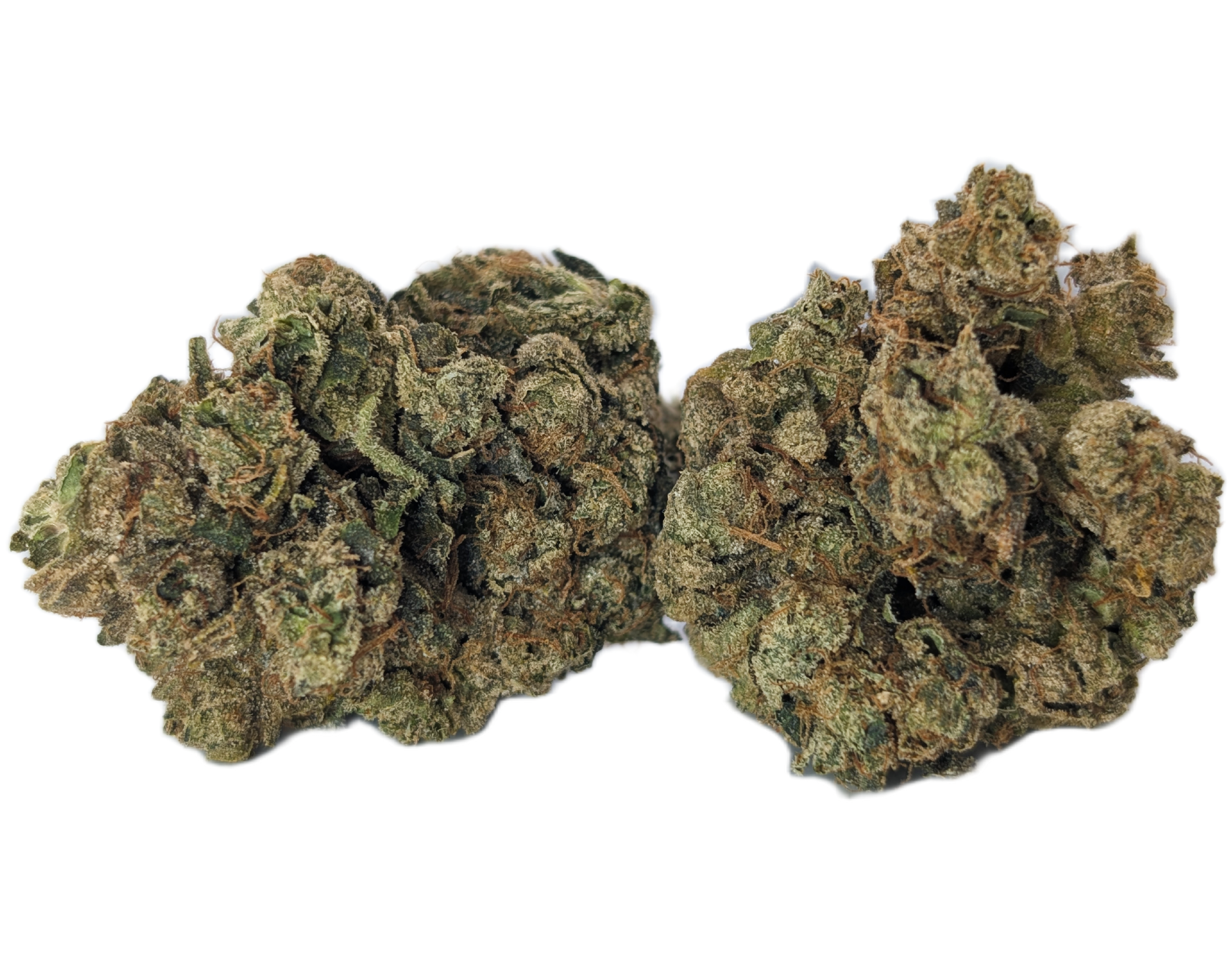 Predator OG ~ $150oz (Fresh n' Sticky) - Top Cola Delivery